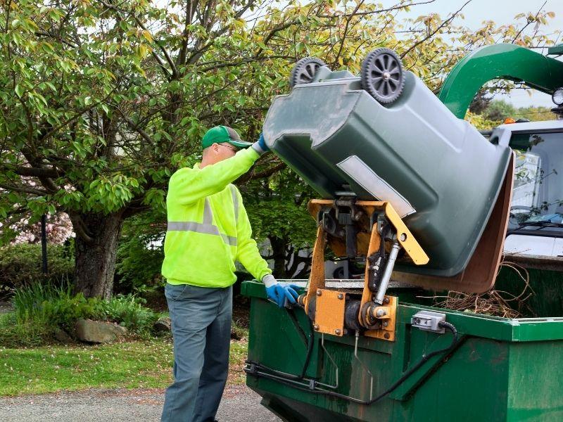 Environmental Impacts and Effects of Environmental Issues in Mexico