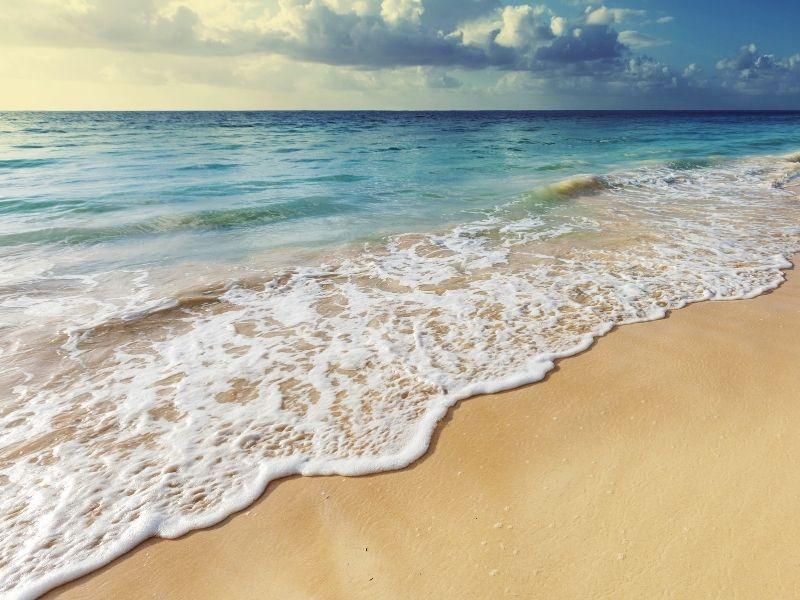 Understanding the Difference Between Sea and Ocean