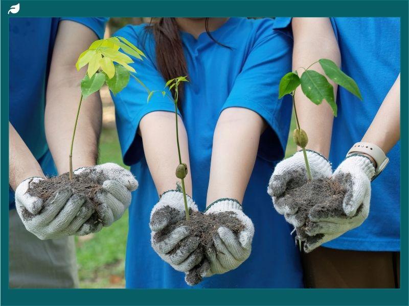 Examples of Unsustainable Products and Their Impact on Earth