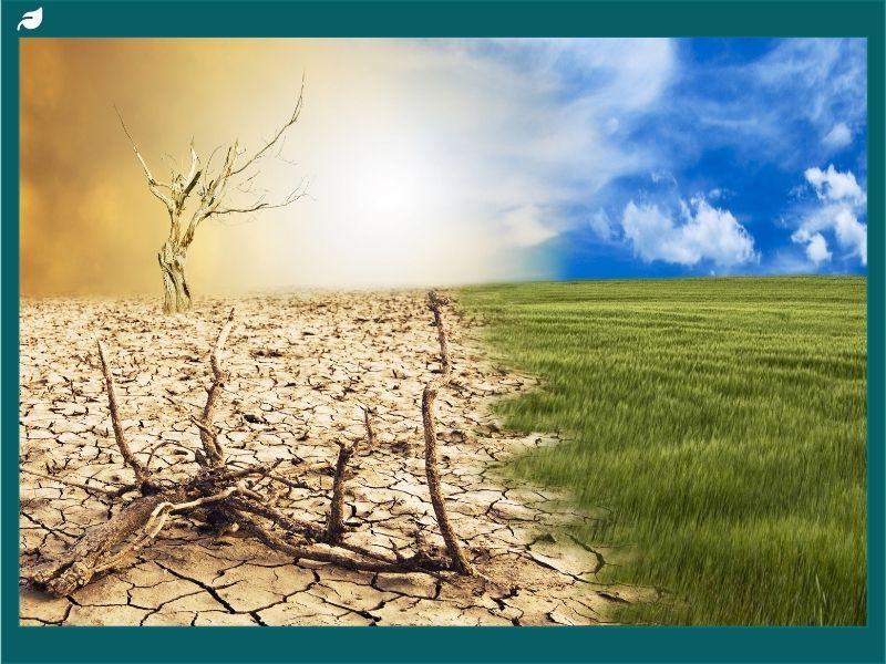 Is Environmental Science Hard? Uncovering the Difficult Aspects of ...