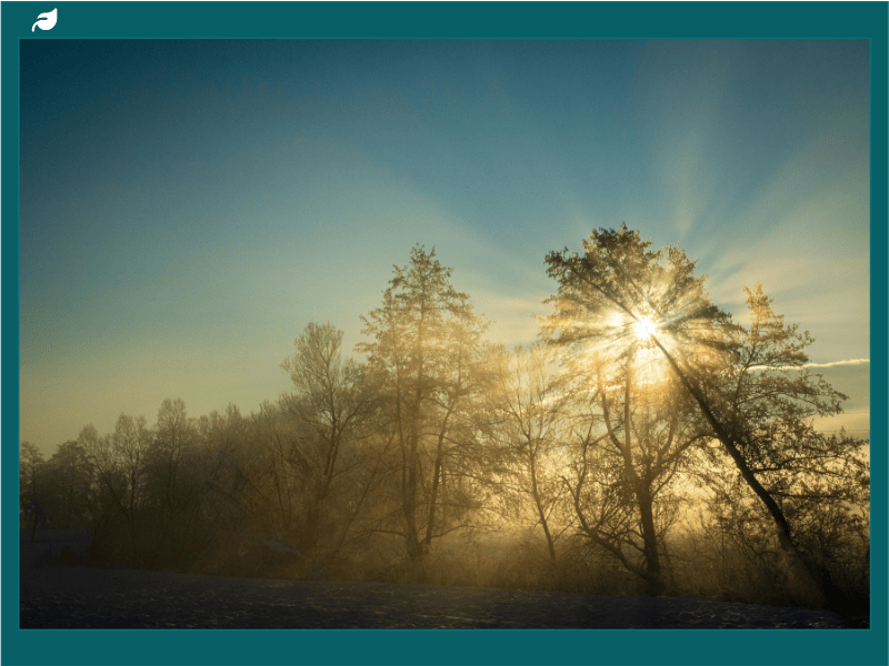 How Do Restaurants Cut Ice Energy and Water Use?