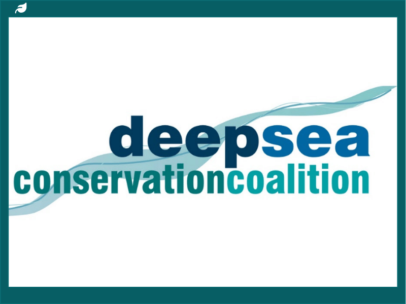 Community grants programme triples funding to support local nature ...