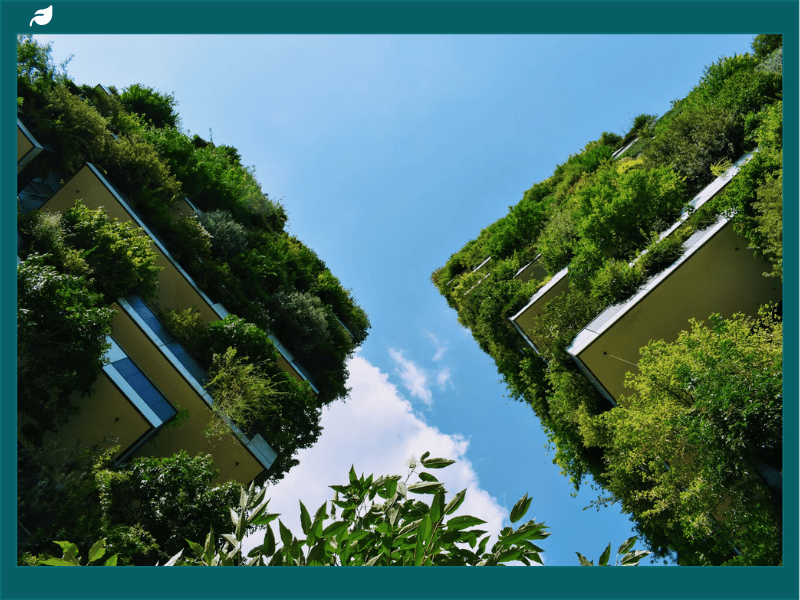 Ecotourism in the US: Discover Idyllic Destinations and Sustainable ...